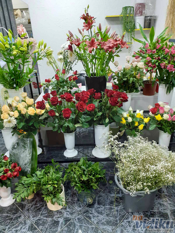 EVENT CVEĆARA, Palilula, Beograd, radno vreme