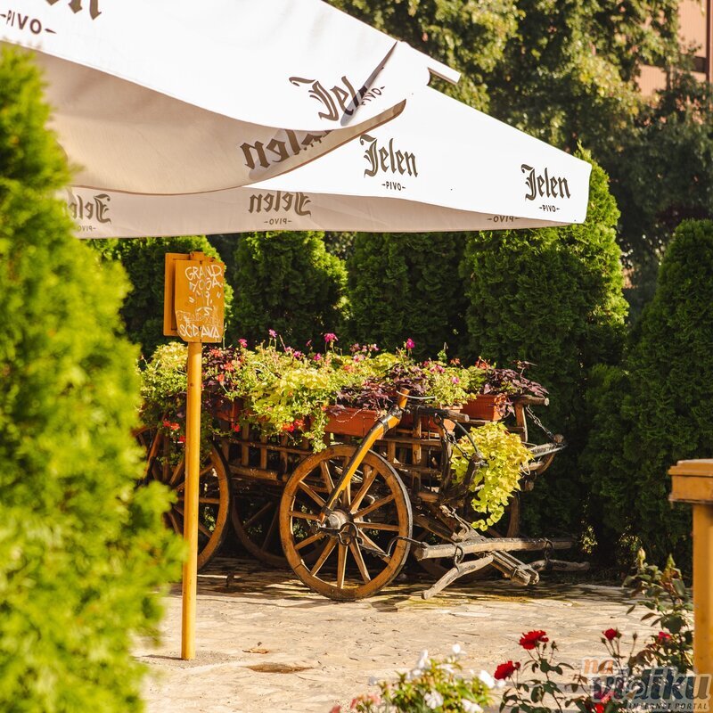 Stepin vajat, Vojvode Stepe 2l, Beograd, 011/ 246 0564