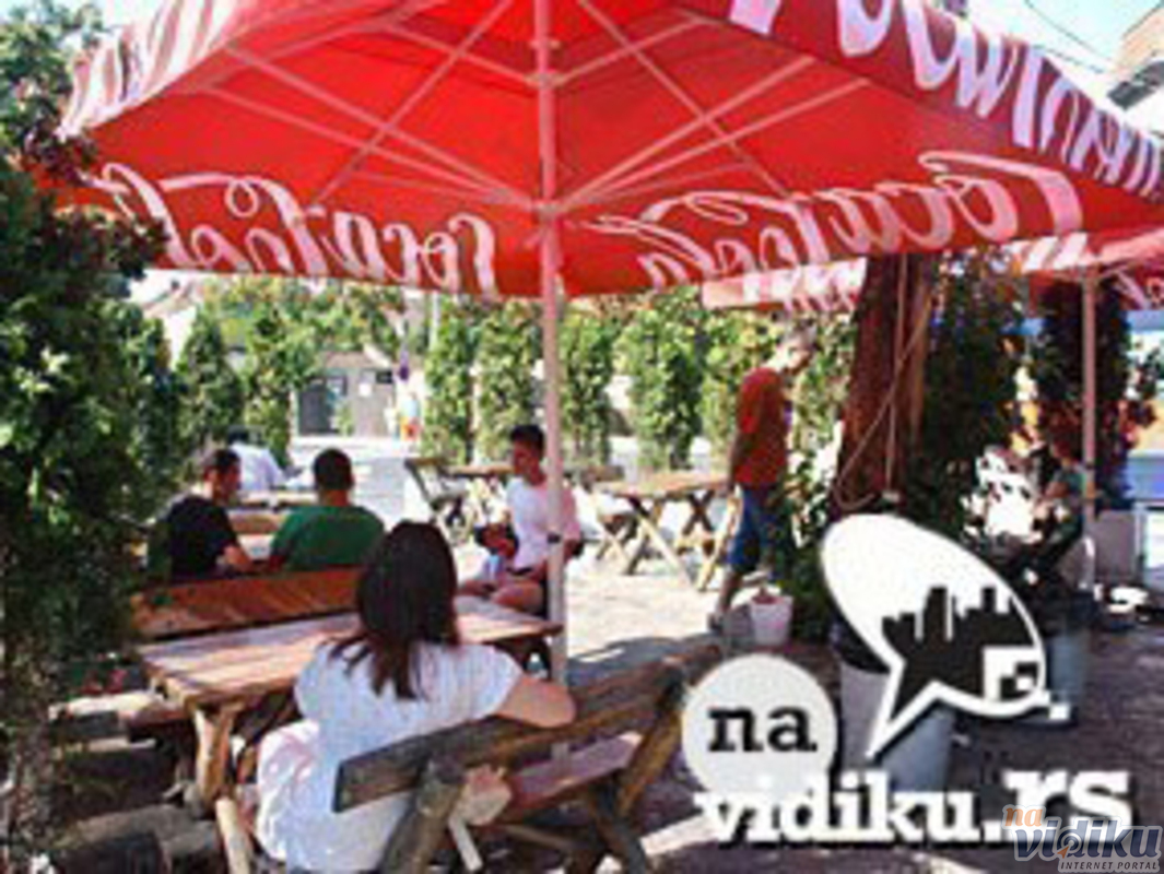 Stepin vajat, Vojvode Stepe 2l, Beograd, 011/ 246 0564