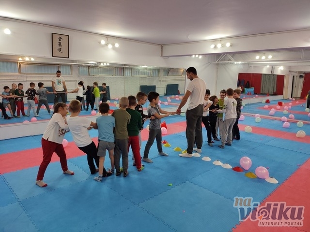 Proslava rodjendana u sportskoj sali, Cena - Sportska sala Novi Beograd ...