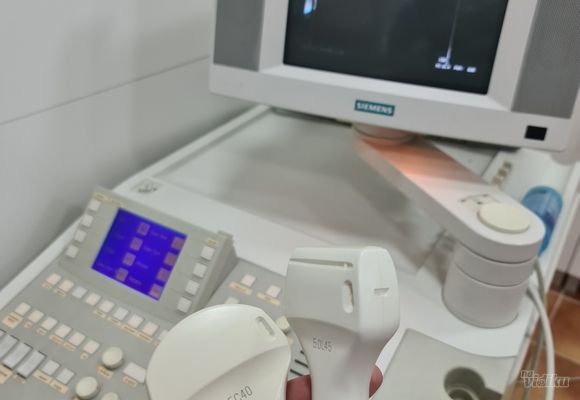 ULTRAZVUK ZA PSA - Dr Aleksandar Veterinarska Ambulanta, Zemun, Beograd